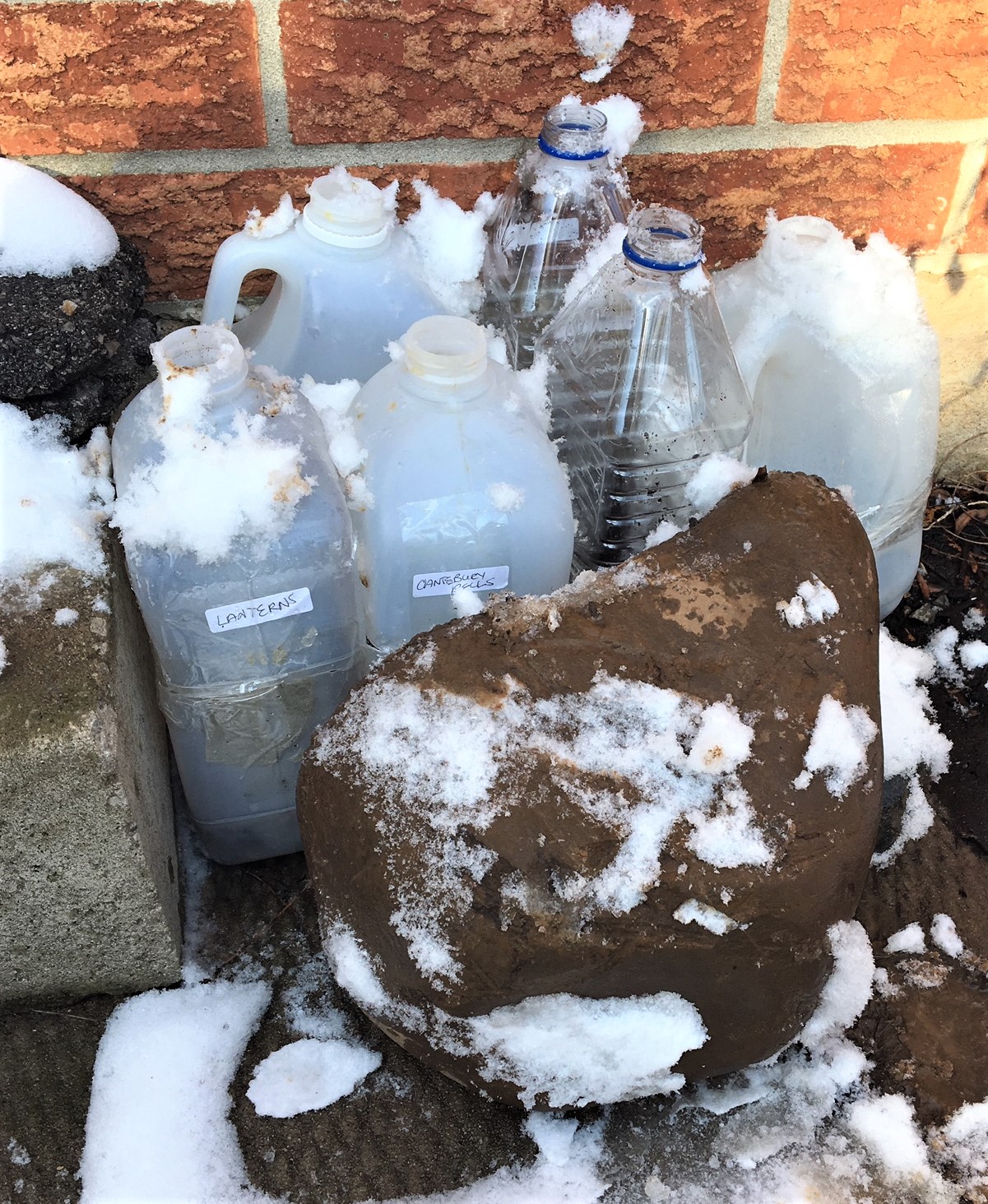 Feeling sow sow – Wandering Cat Studio