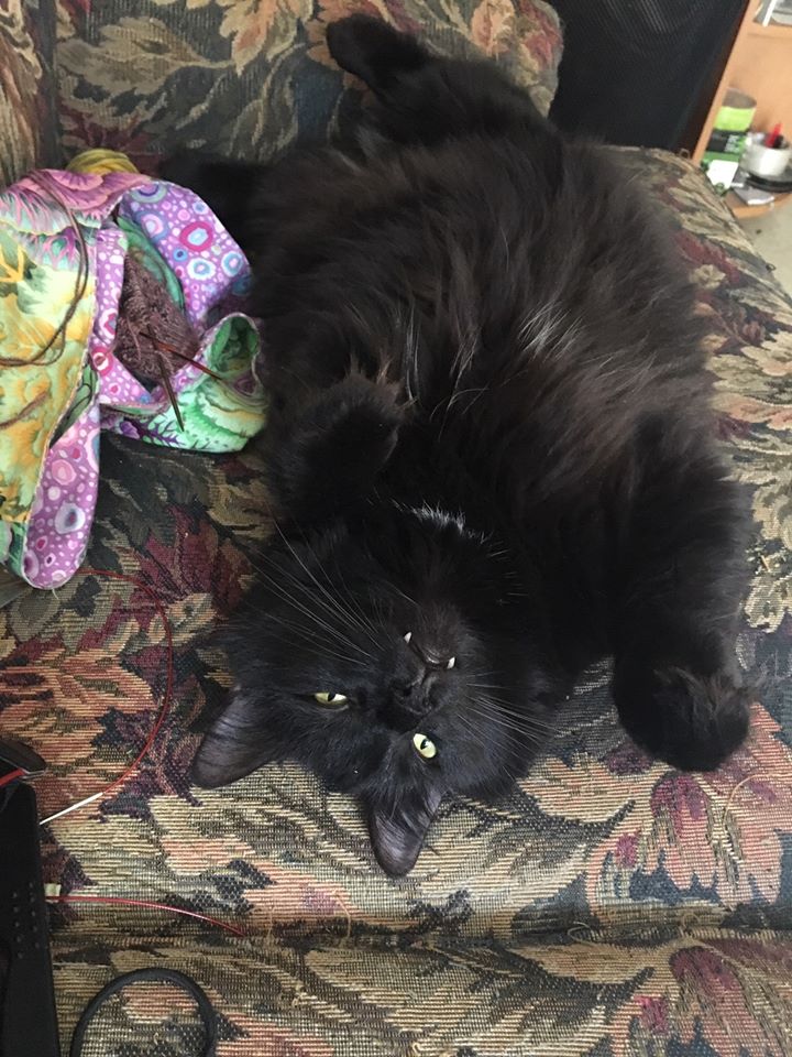 Three cheers for LBB – Wandering Cat Studio