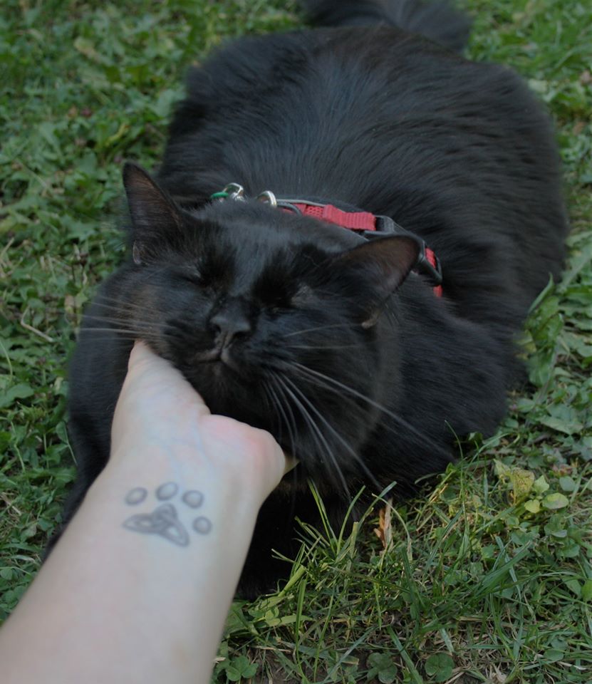 Three cheers for LBB – Wandering Cat Studio