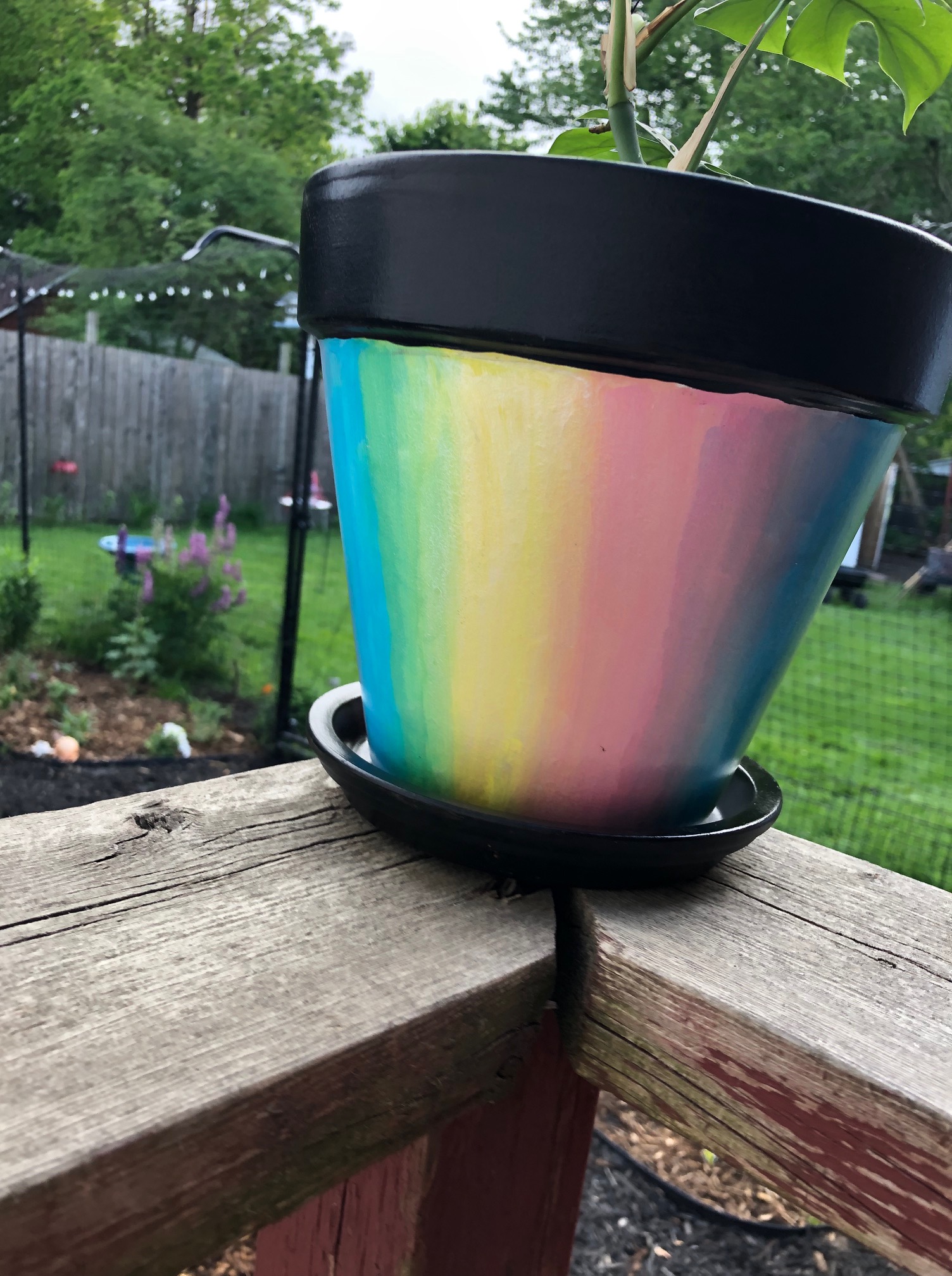 All about Alice – Wandering Cat Studio