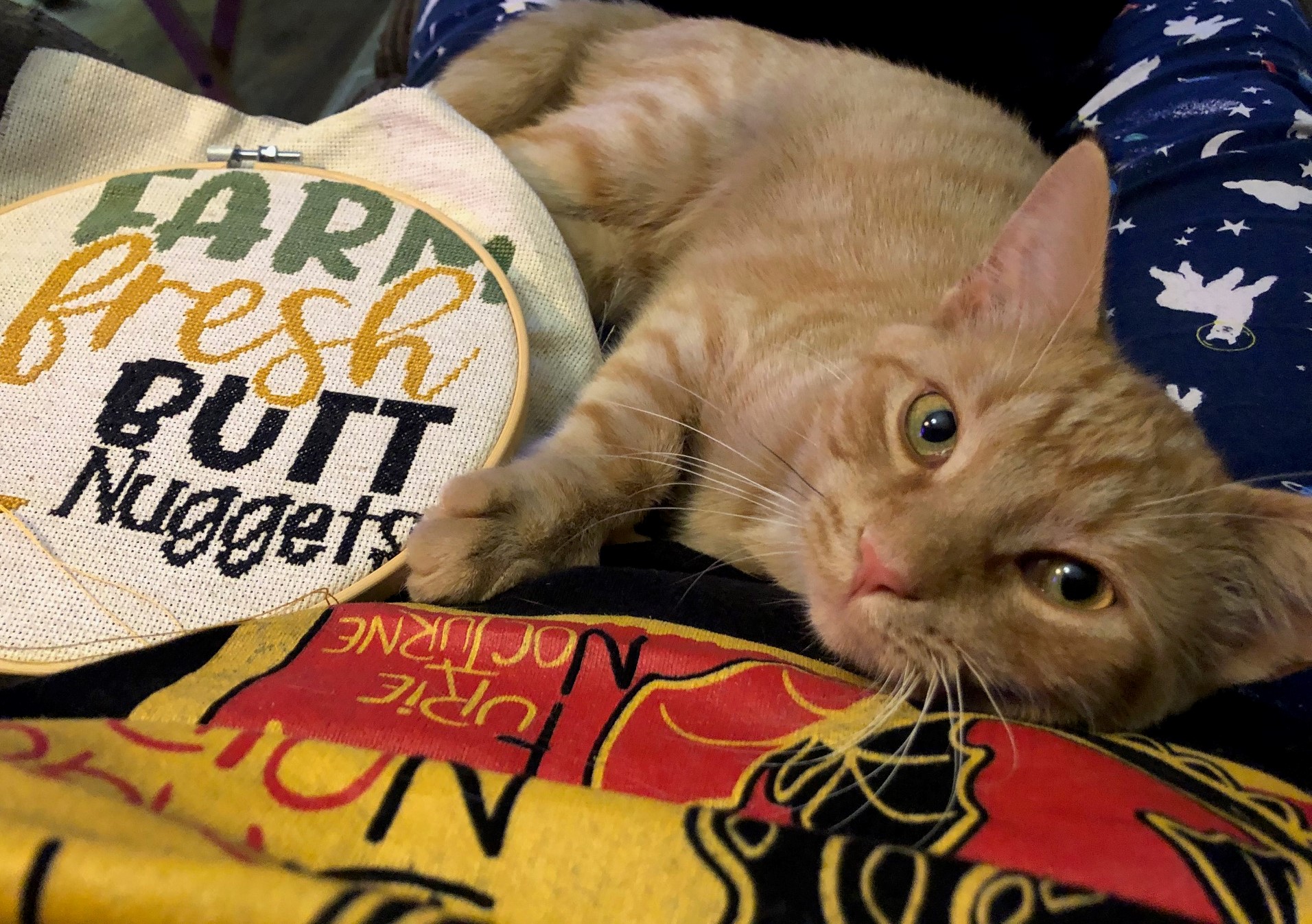 Tiny Needle Tuesday FO: Farm Fresh Butt Nuggets – Wandering Cat Studio