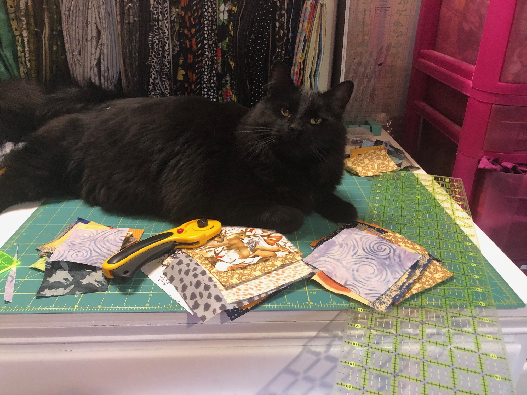 Conquering Scrap Mountain – Wandering Cat Studio