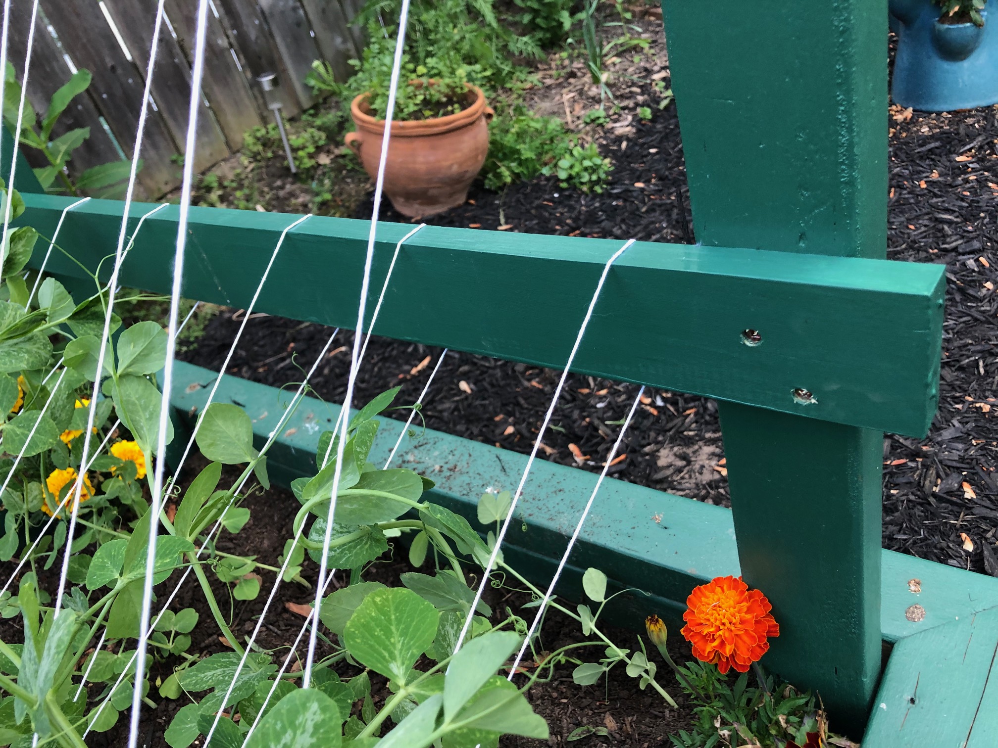 Strung up, strung out – Wandering Cat Studio