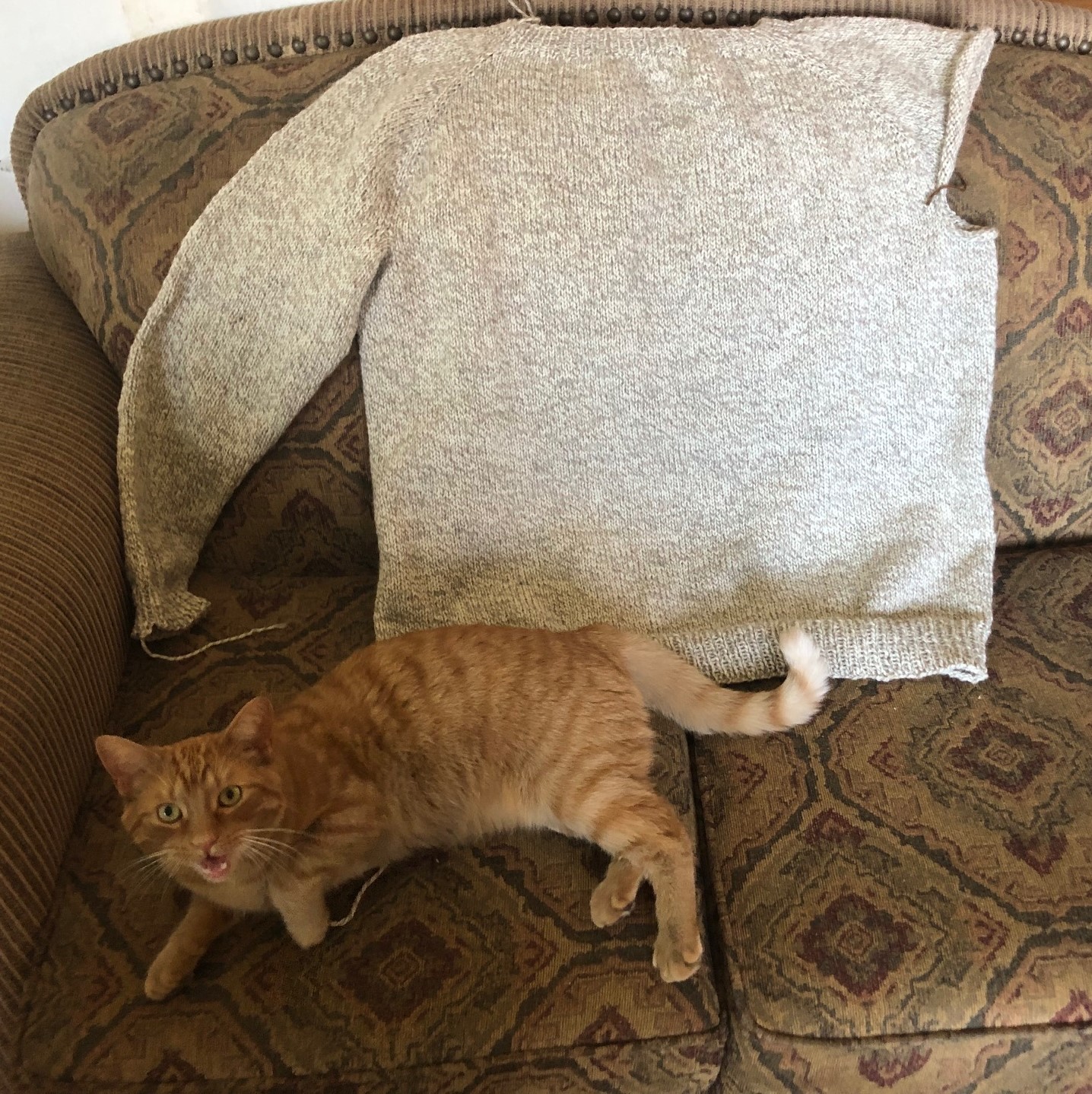 GGS: 32 day to go – Wandering Cat Studio