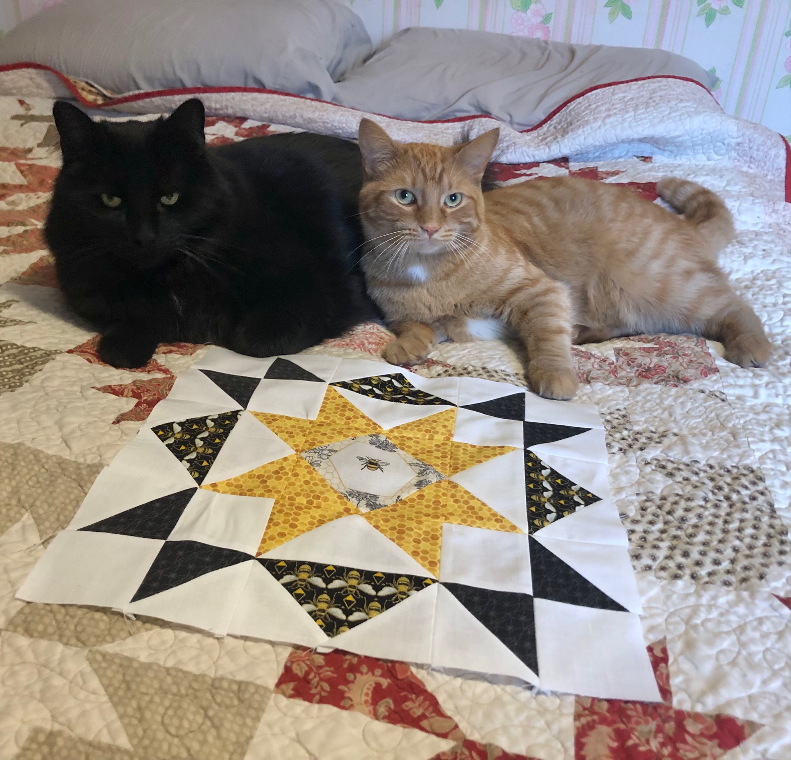 Back with the blockheads – Wandering Cat Studio