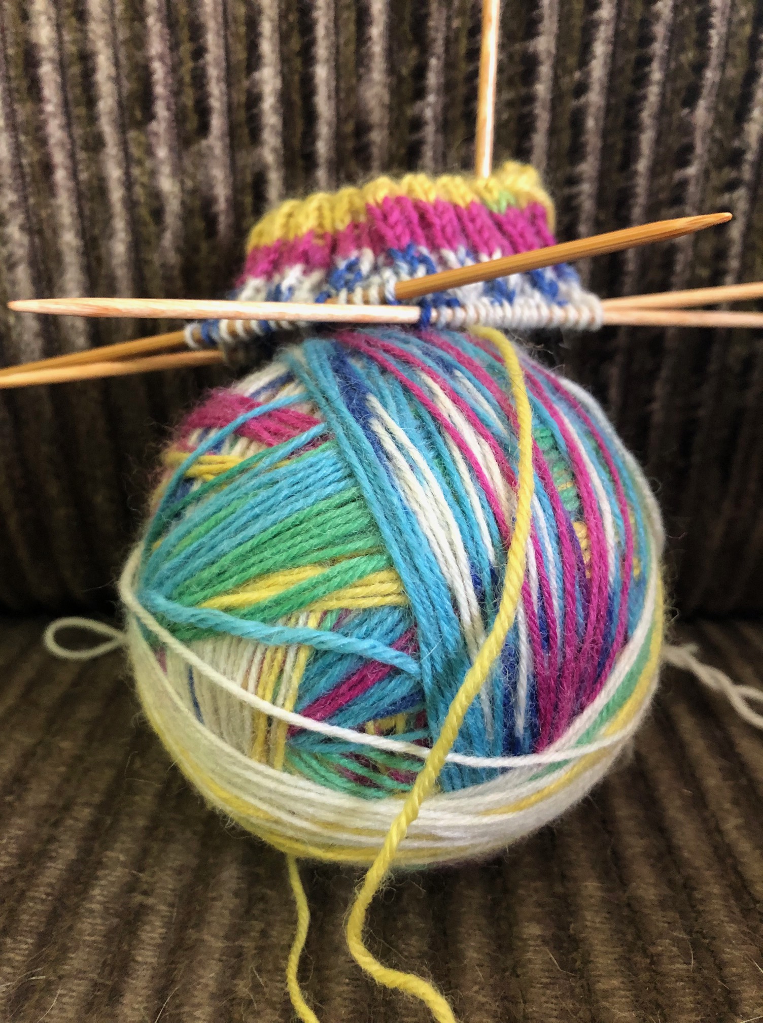 The new knit – Wandering Cat Studio
