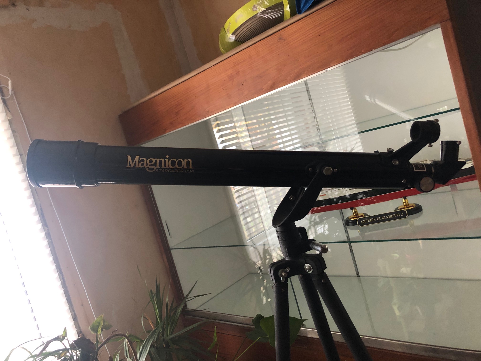 Treasures – Wandering Cat Studio