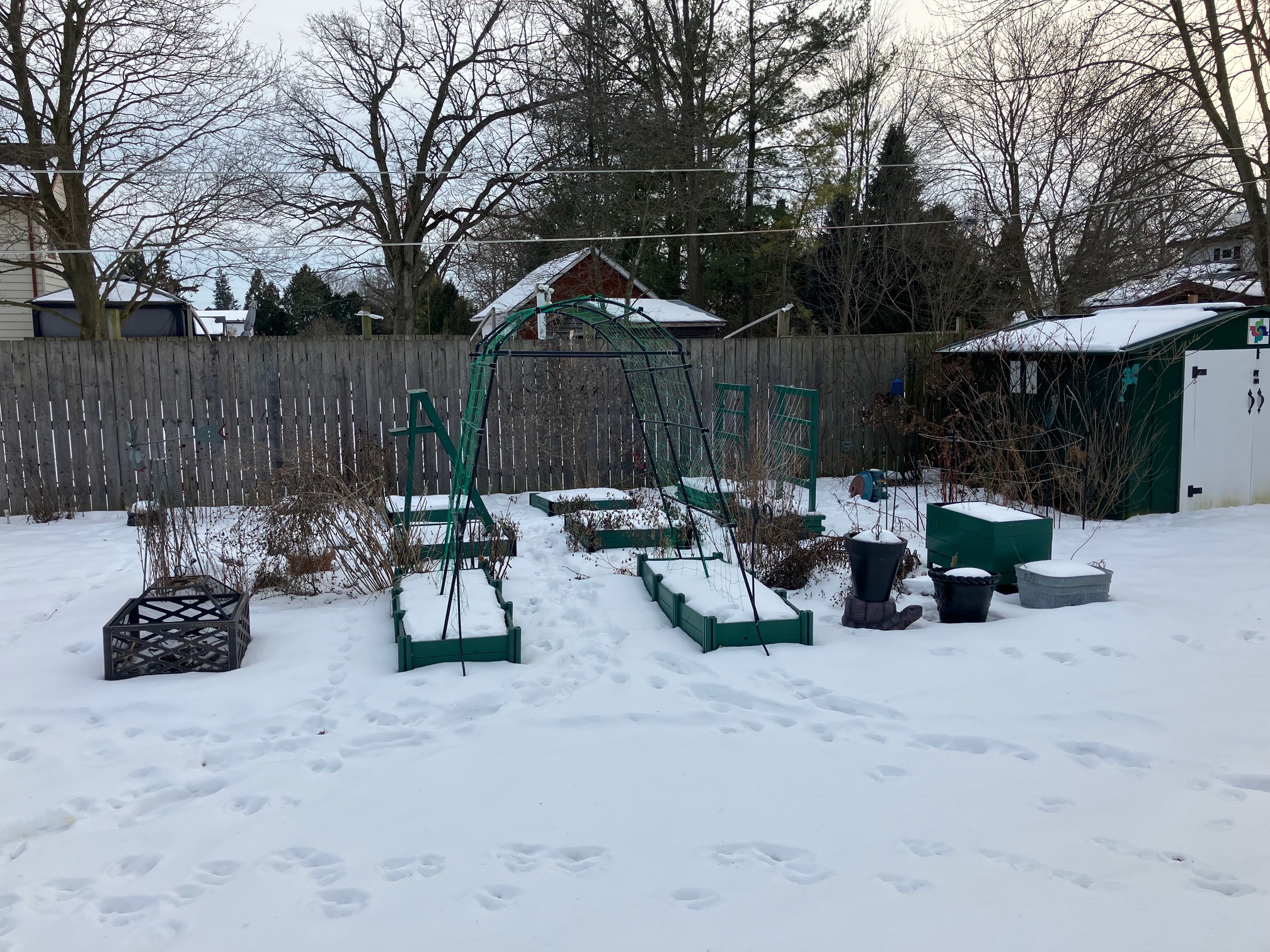 Little packets of wonder – Wandering Cat Studio