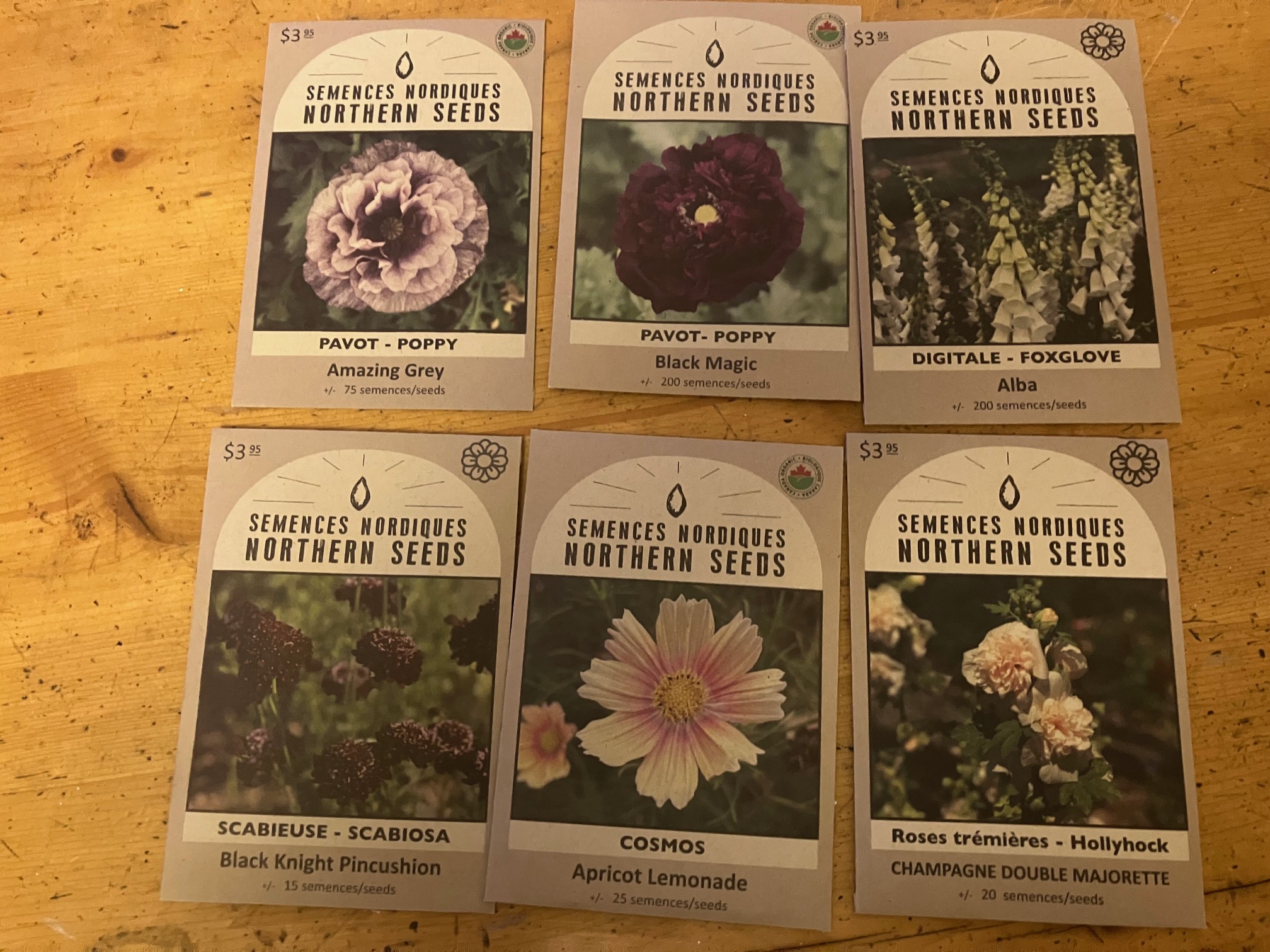 Little packets of wonder – Wandering Cat Studio