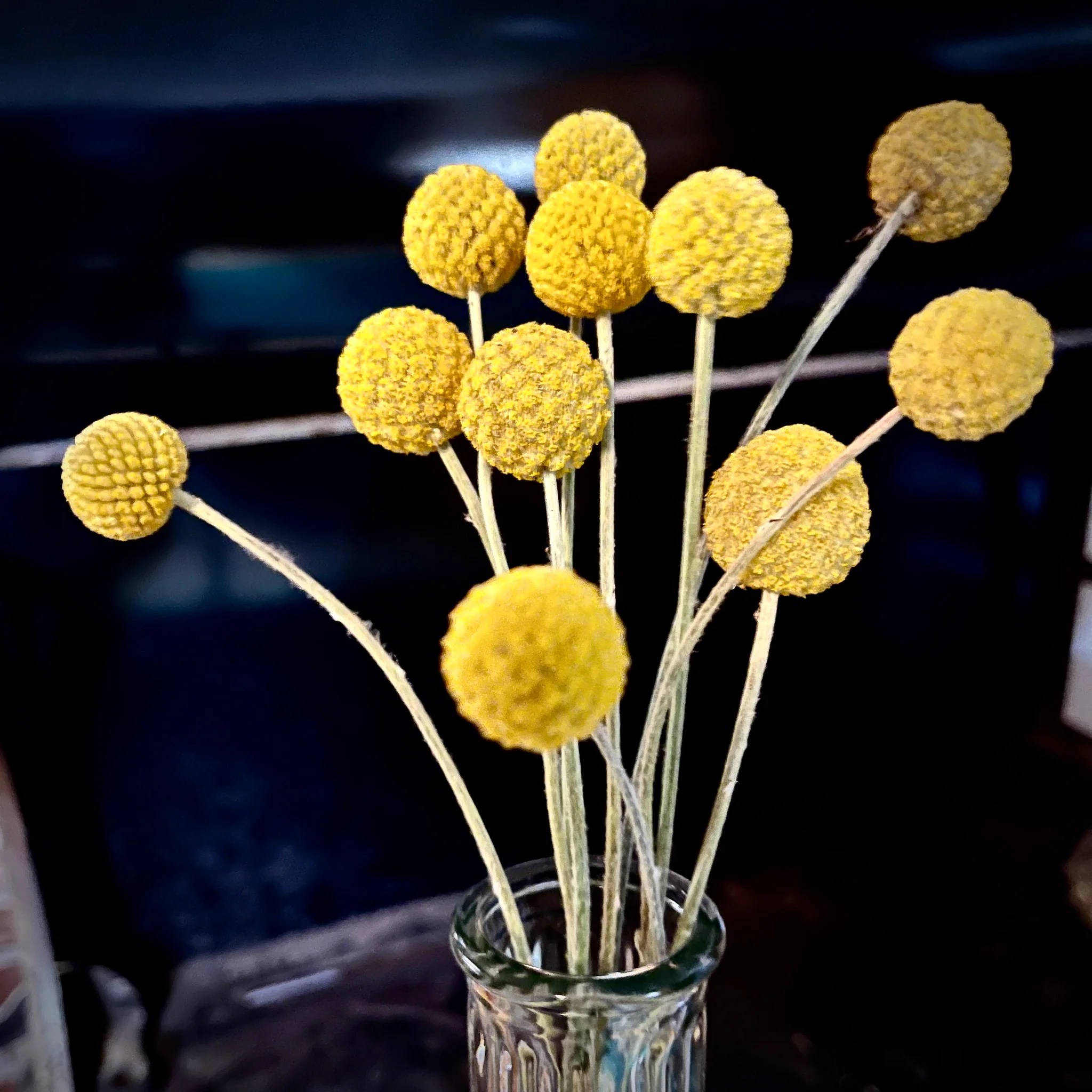 Little packets of wonder – Wandering Cat Studio