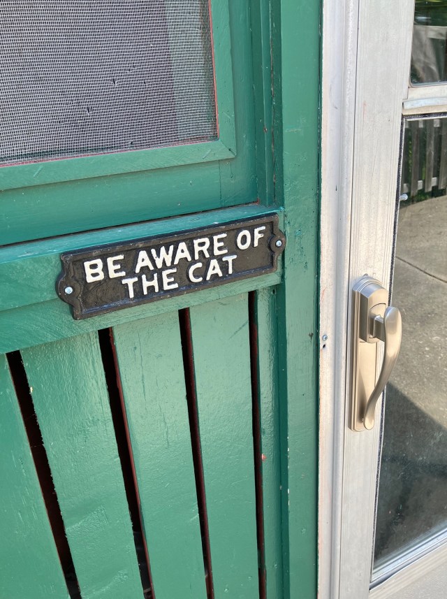 Thrift adventures – Wandering Cat Studio