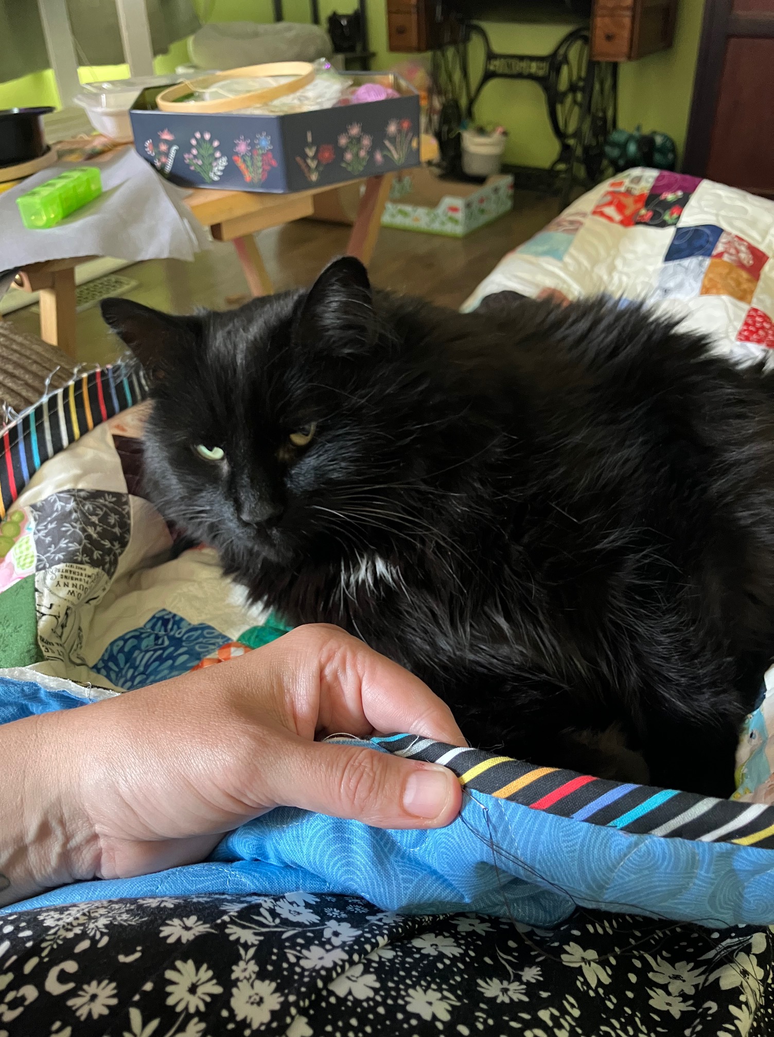 FO: Quarter-Carat Diamonds – Wandering Cat Studio