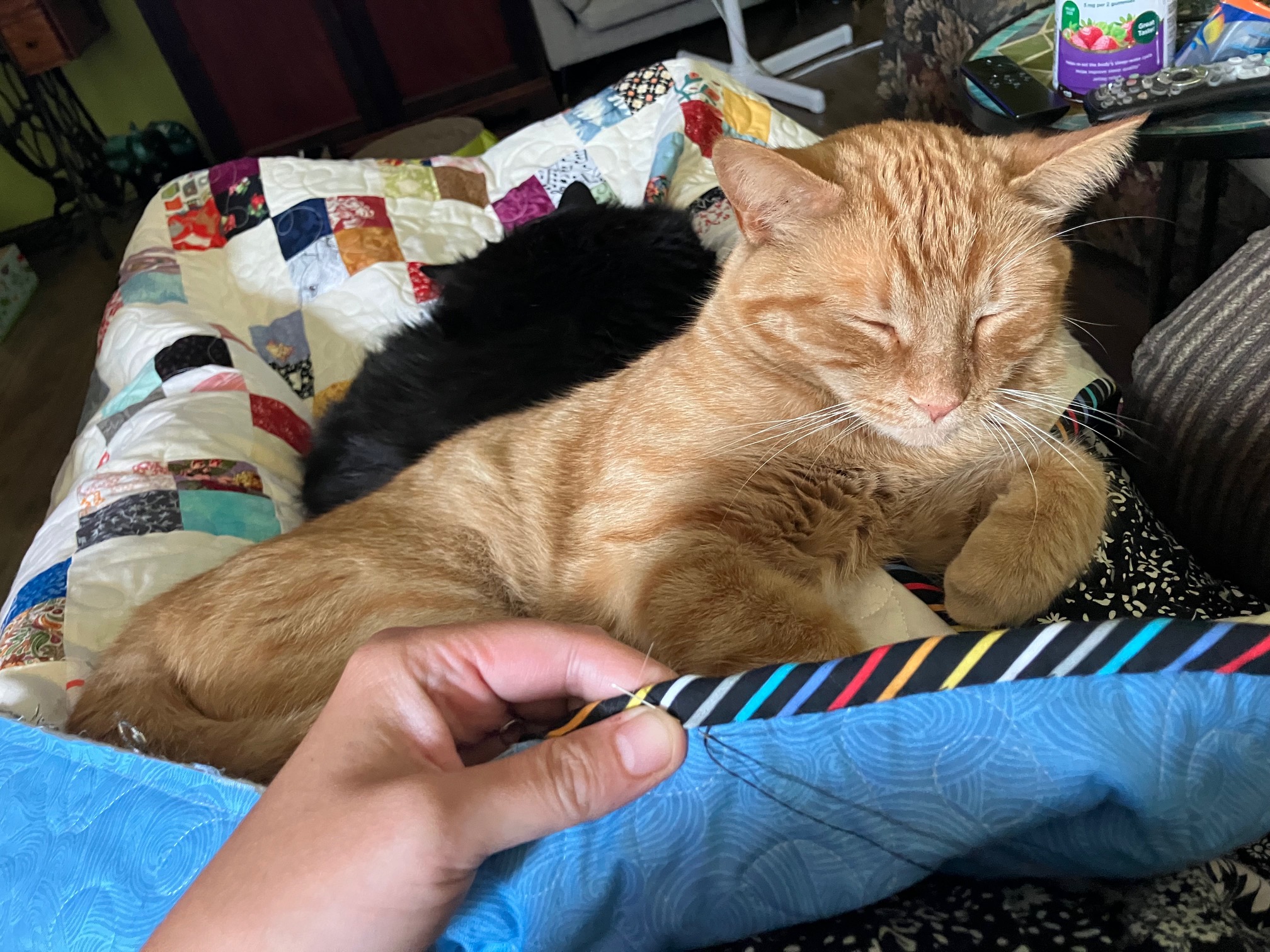 FO: Quarter-Carat Diamonds – Wandering Cat Studio