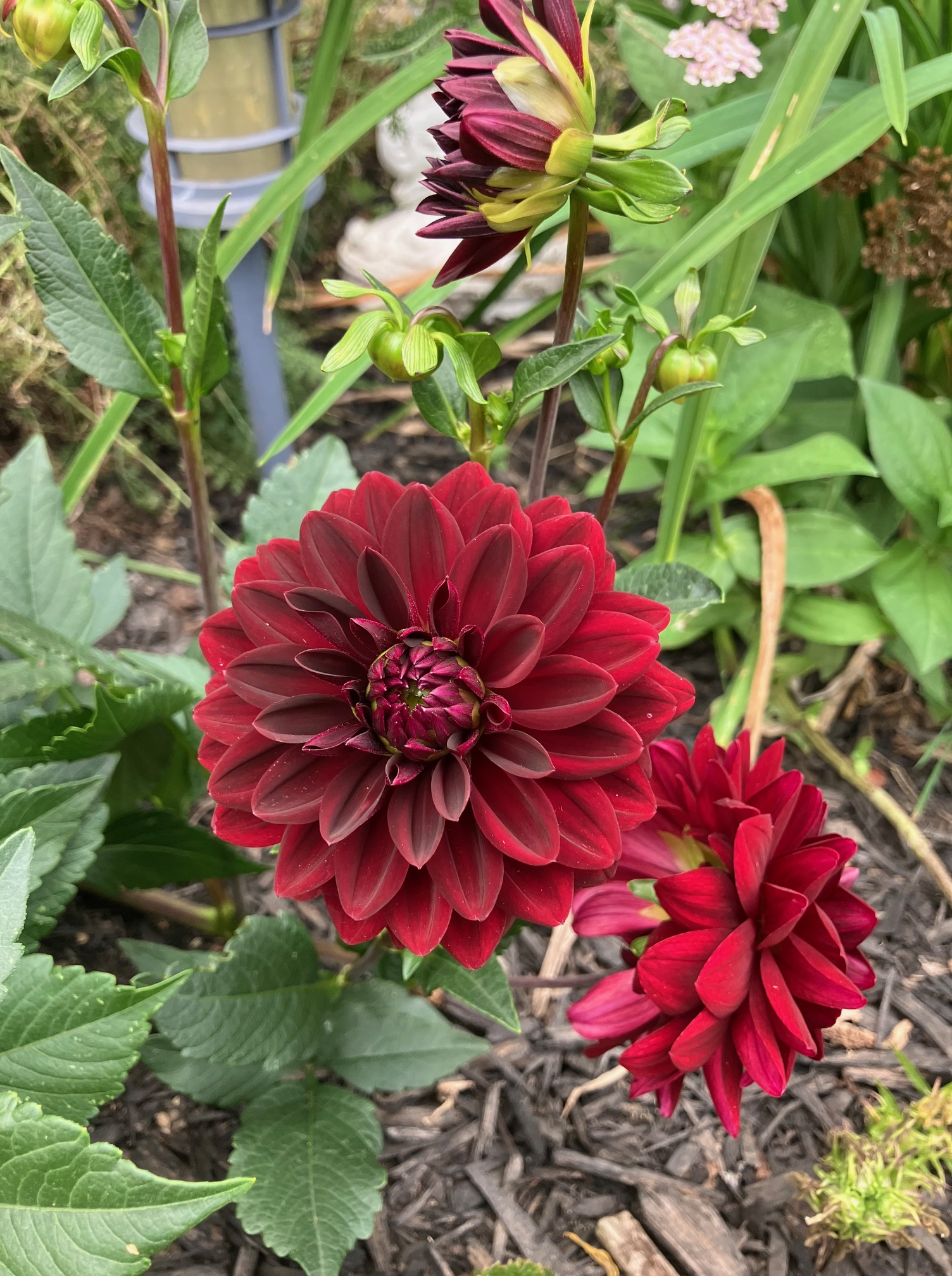 Fall… – Wandering Cat Studio